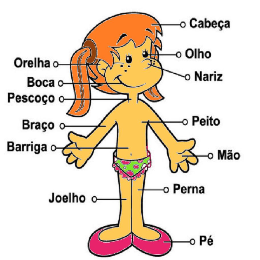 Algumas partes do corpo humano – primeira parte – Por Dentro da Língua ...